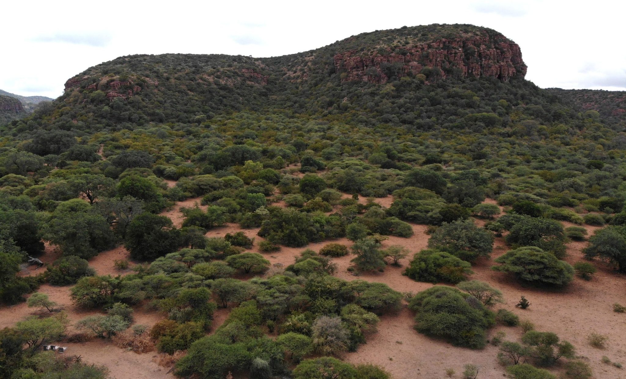 Baseline/Biodiversity Management - EIAA