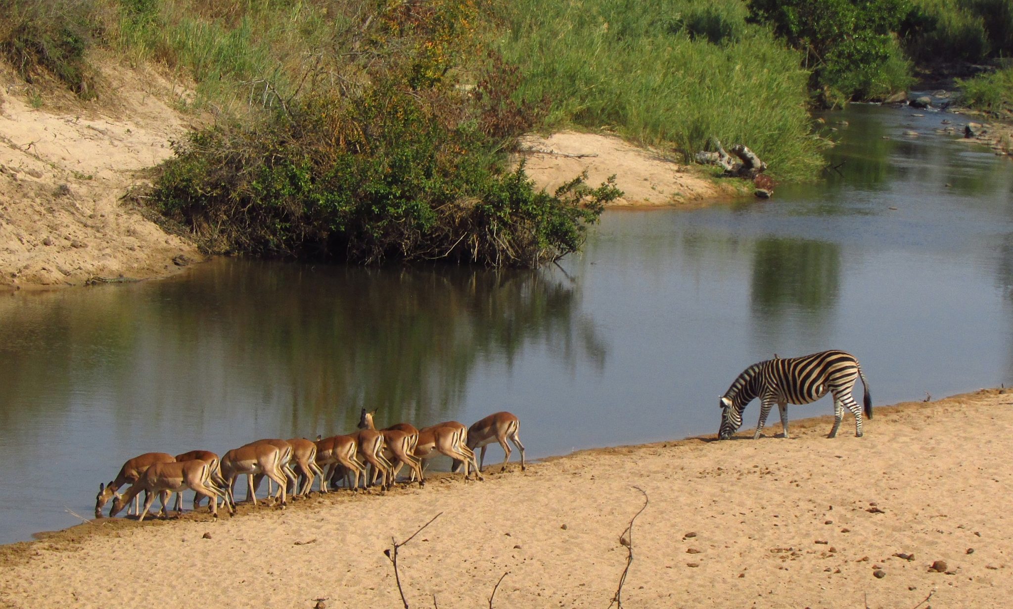 Baseline/Biodiversity Management - EIAA